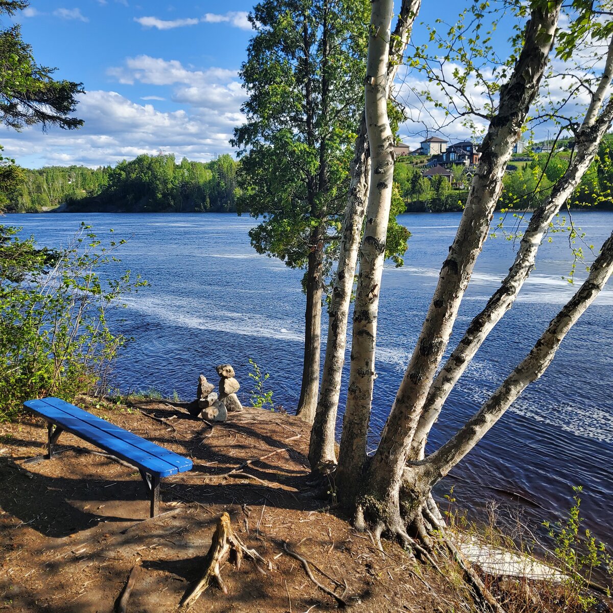 Parc d'une rive à l'autre